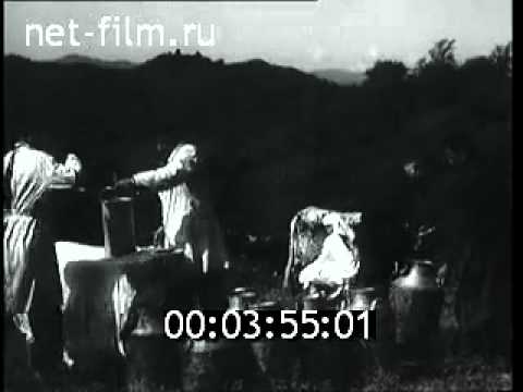 Совхоз  им. Б.  Аббасова  Ленкорань.