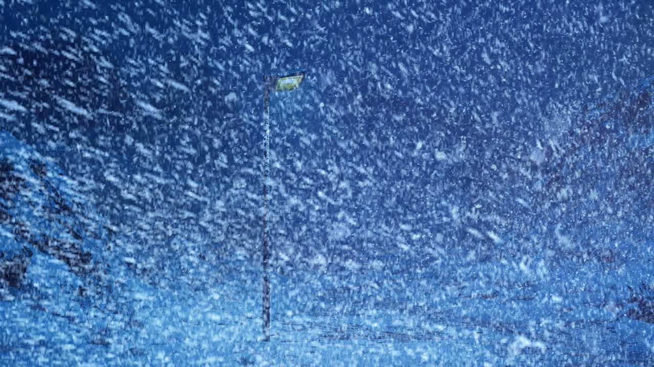 Tranquil Winter Blizzard Sounds | Freezing Breeze Sounds & Frosty ...