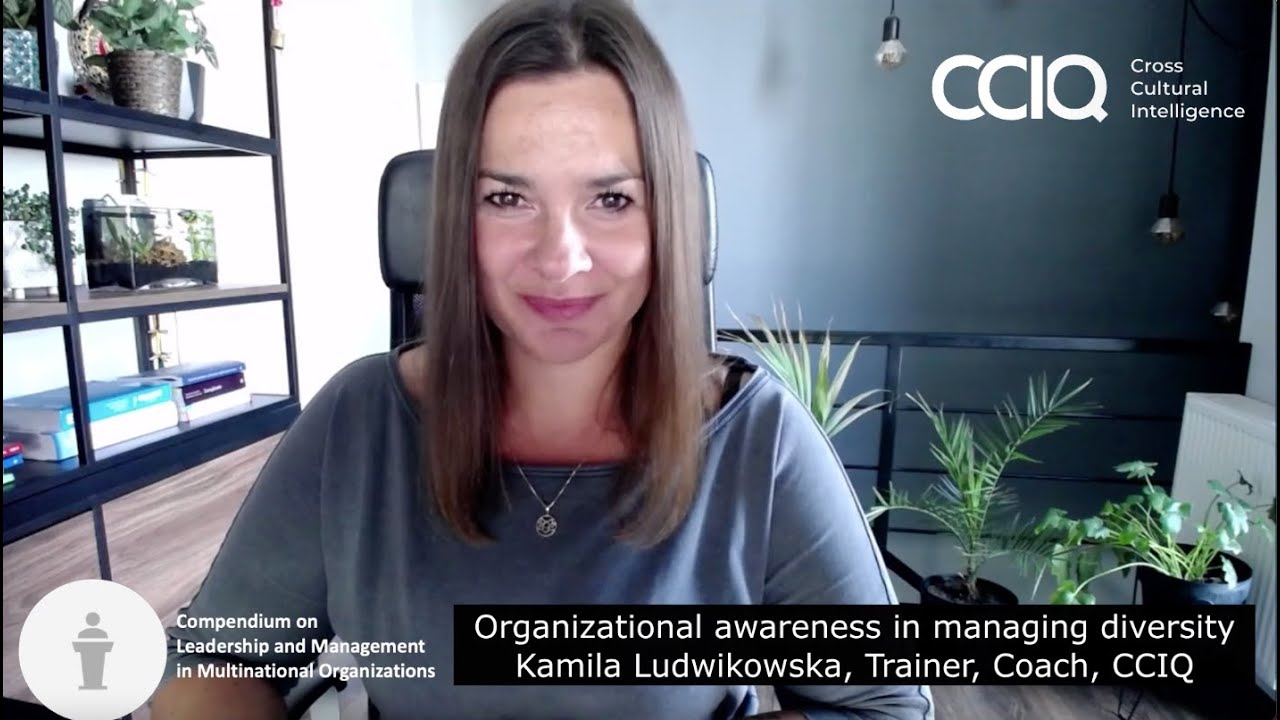 Organizational awareness in managing diversity (inclusive organization ...