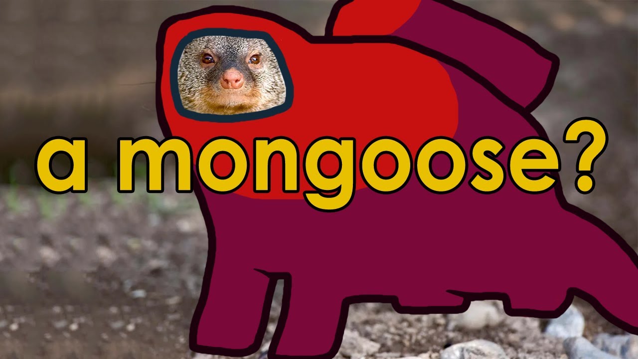 A MONGOOSE??? (Among Us) - YouTube