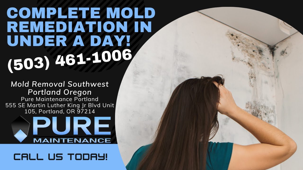 Mold Removal Southwest Portland Oregon - Pure Maintenance Portland ...