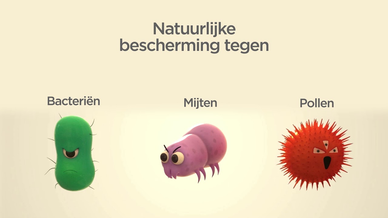 DOUXO mousse | Natuurlijke bescherming tegen bacteriën, mijten en ...