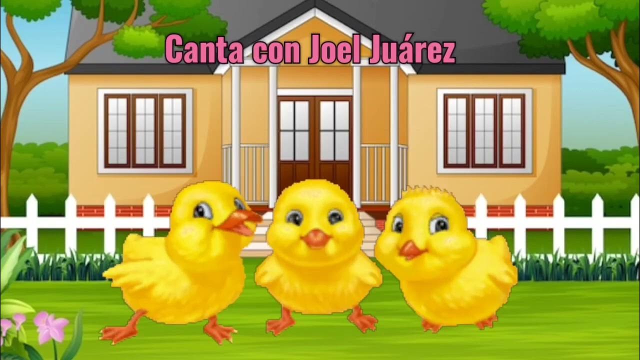 LOS POLLITOS / Canción Infantil - YouTube