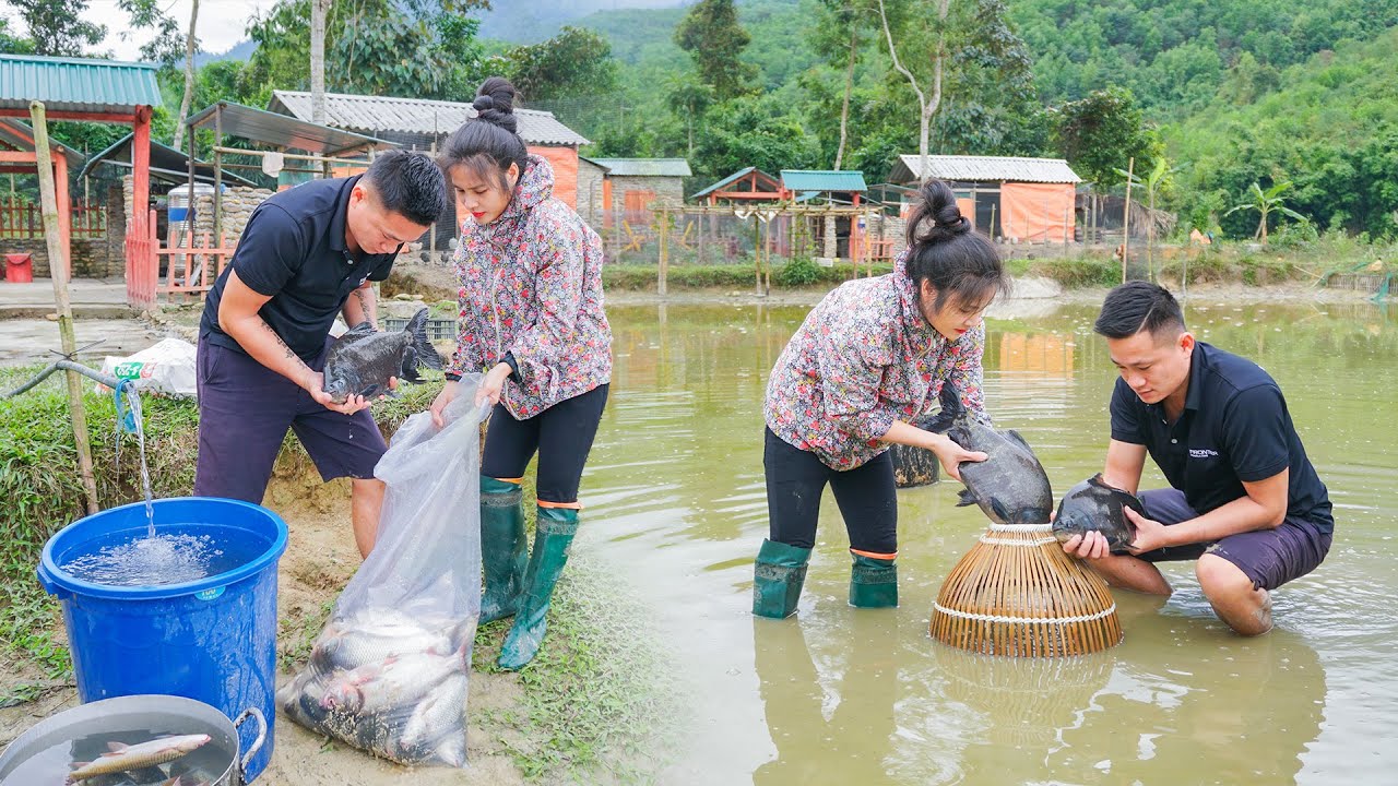 [120 DAY] Cuong goes to work far from Ngan - Harvest many fish at the ...