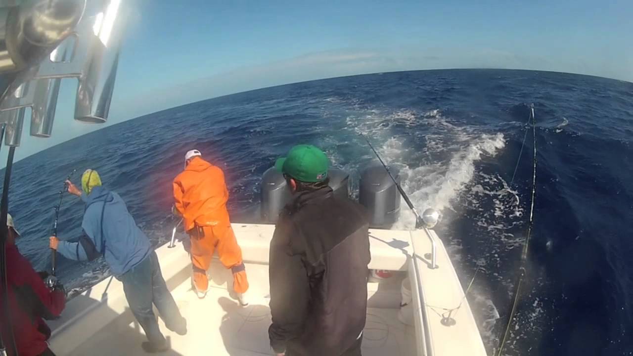 Big Wahoo 82.8 LBS - YouTube