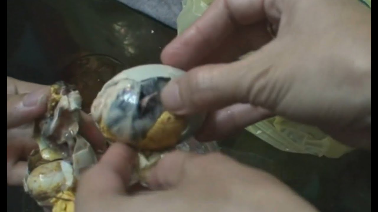 PHILIPPINES - Eating Balut street food - YouTube
