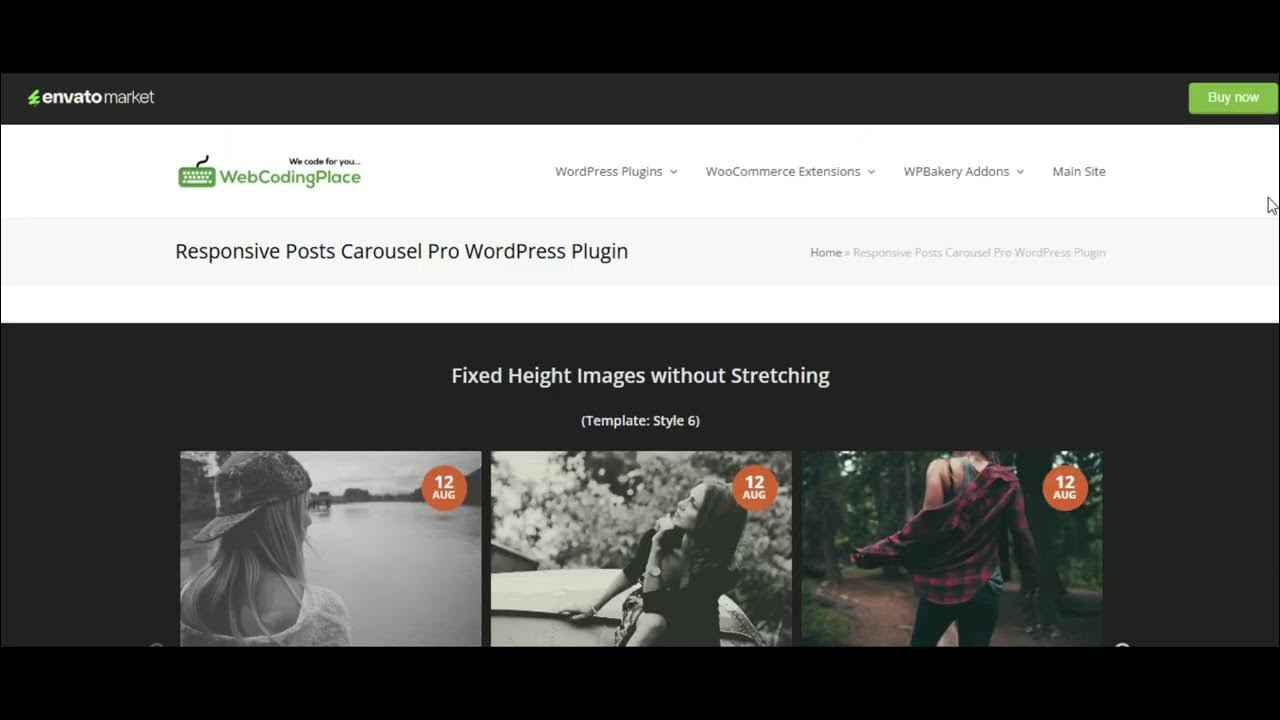 How To Check Demo Responsive Posts Carousel WordPress Plugin 3.99 $ Only - YouTube