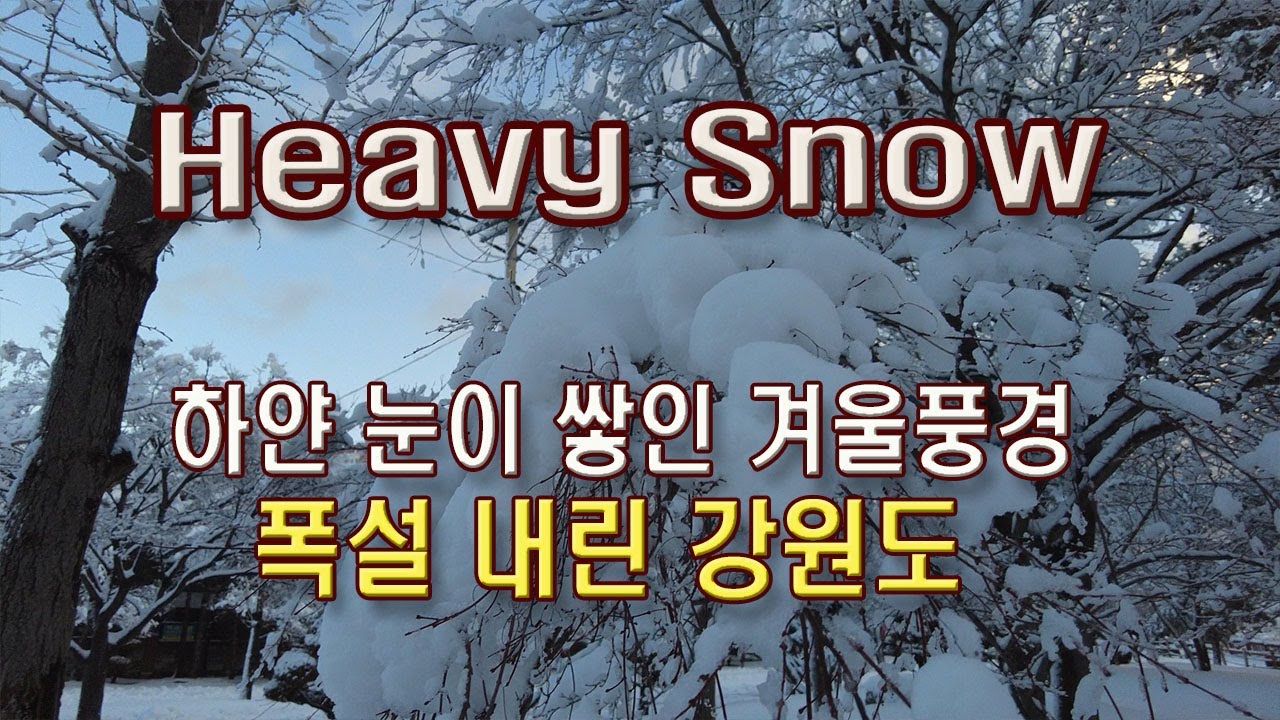 (4K)폭설 내린 강원도, 하얀 눈 쌓인 겨울풍경(Heavy Snow in Gangwon-do Province) - YouTube