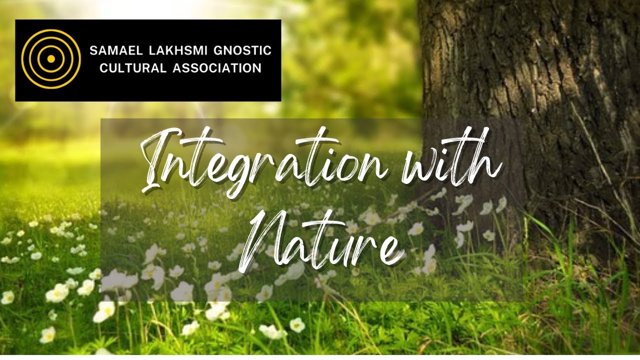 How to Integrate with Nature - YouTube
