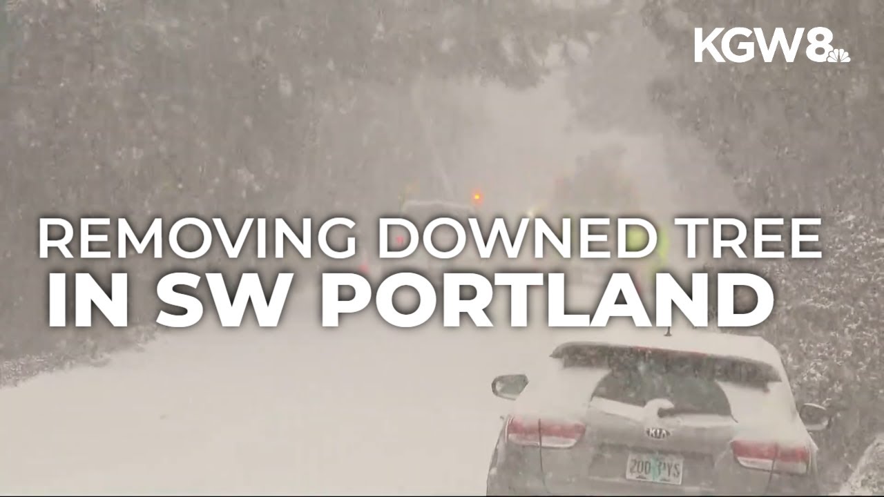Crews work to remove downed tree on power line in Southwest Portland in ...
