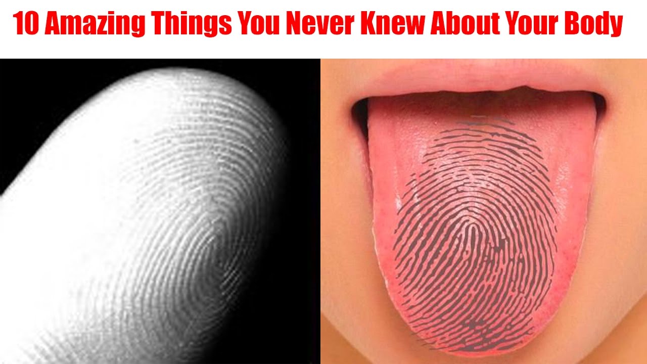 10 Amazing Things You Never Knew About Your Body - YouTube
