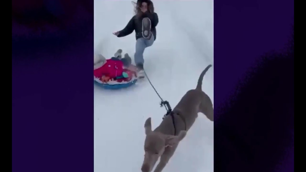 Sliding into Fail 306 Instant Regret- Fails Compilation/ Funny Fails ...