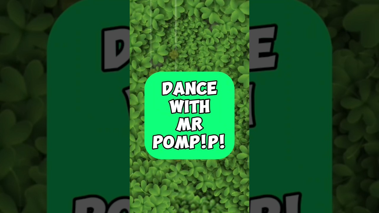 Dance with Mr Pomp!p! - YouTube