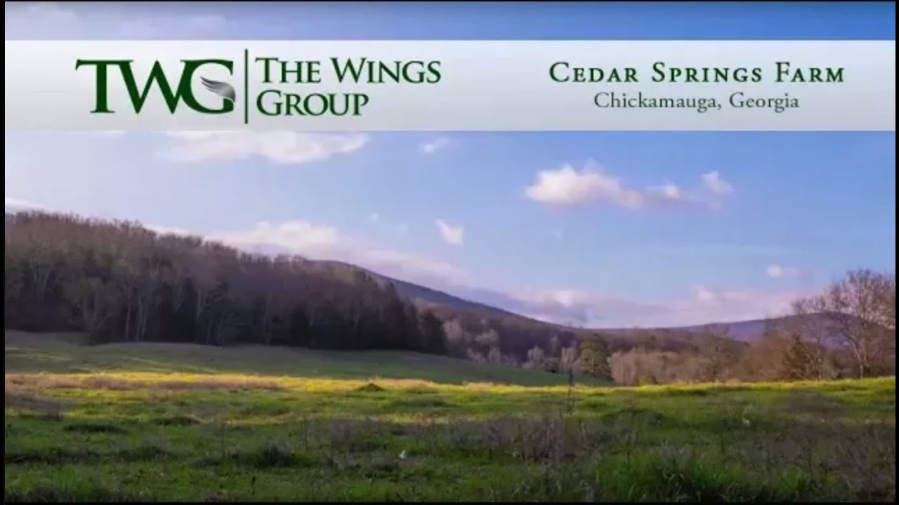 Cedar Springs Farm - YouTube