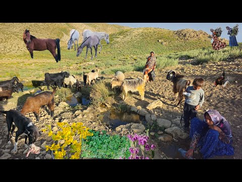 Nomadenleben: Nomadenmädchen und natürliche Quellen | Nomadenmädchen beim Hüten von Herden in der Wi