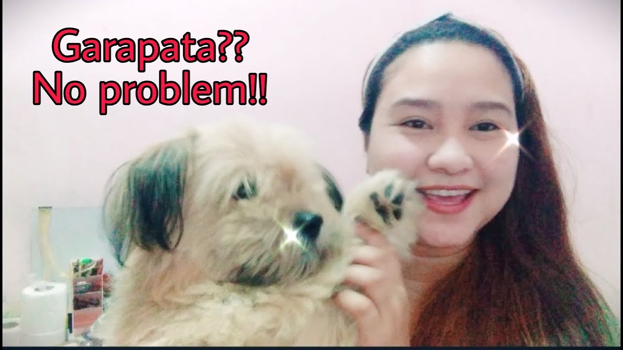 Mabisang pangtanggal ng Garapata sa Aso (Part 1) | ข้อมูลทั้งหมด ...