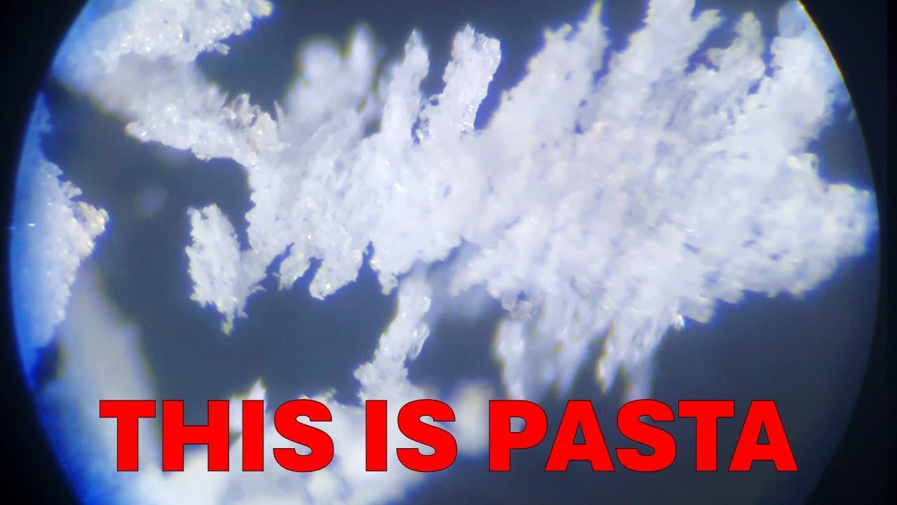 What Does Pasta Look Like Under A Microscope ? - YouTube