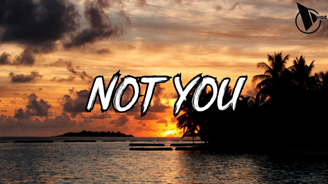 Alan Walker - Not You (Lyrics) ft. Emma Steinbakken || Not You Mix ...