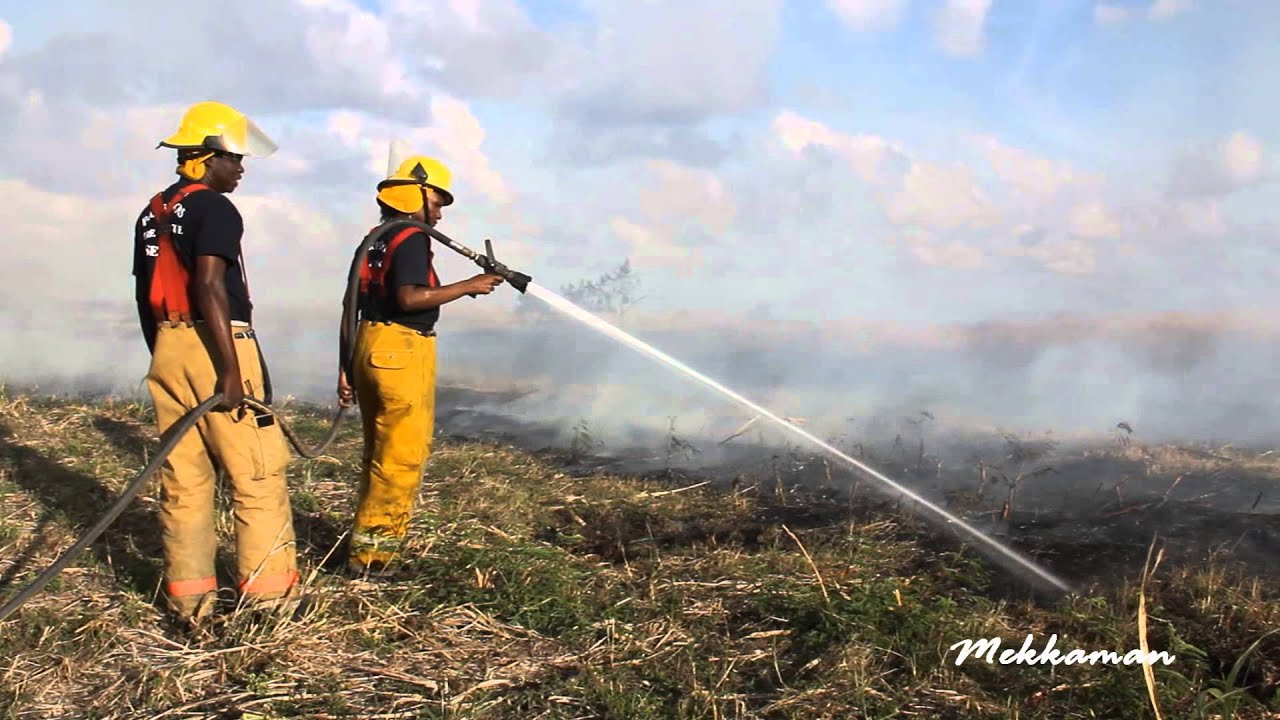 Cane Fire in Bannatyne, Barbados - YouTube
