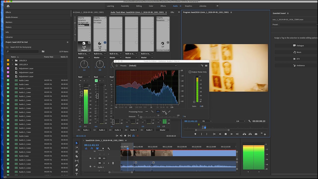 Eliminate Noise with the DeNoise Plugin in Premiere Pro: Get Crisp Audio - YouTube