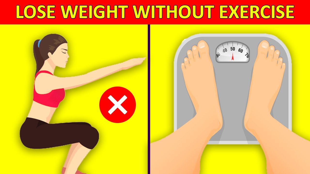 How to Lose Weight Without Exercise : Top 5 Proven Weight Loss Tips ...