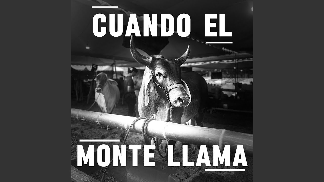 El Pavito Artista - YouTube