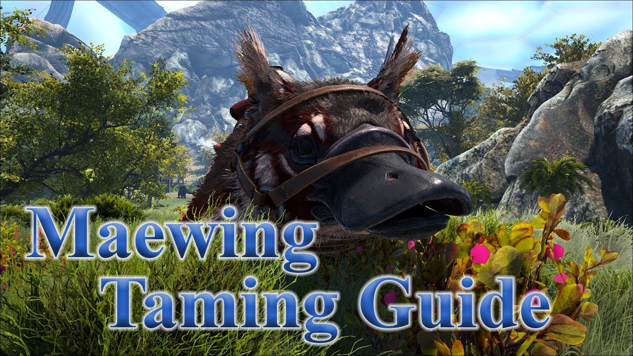 MAEWING TAMING GUIDE | How to Tame Maewing & Abilities | Maewing ...