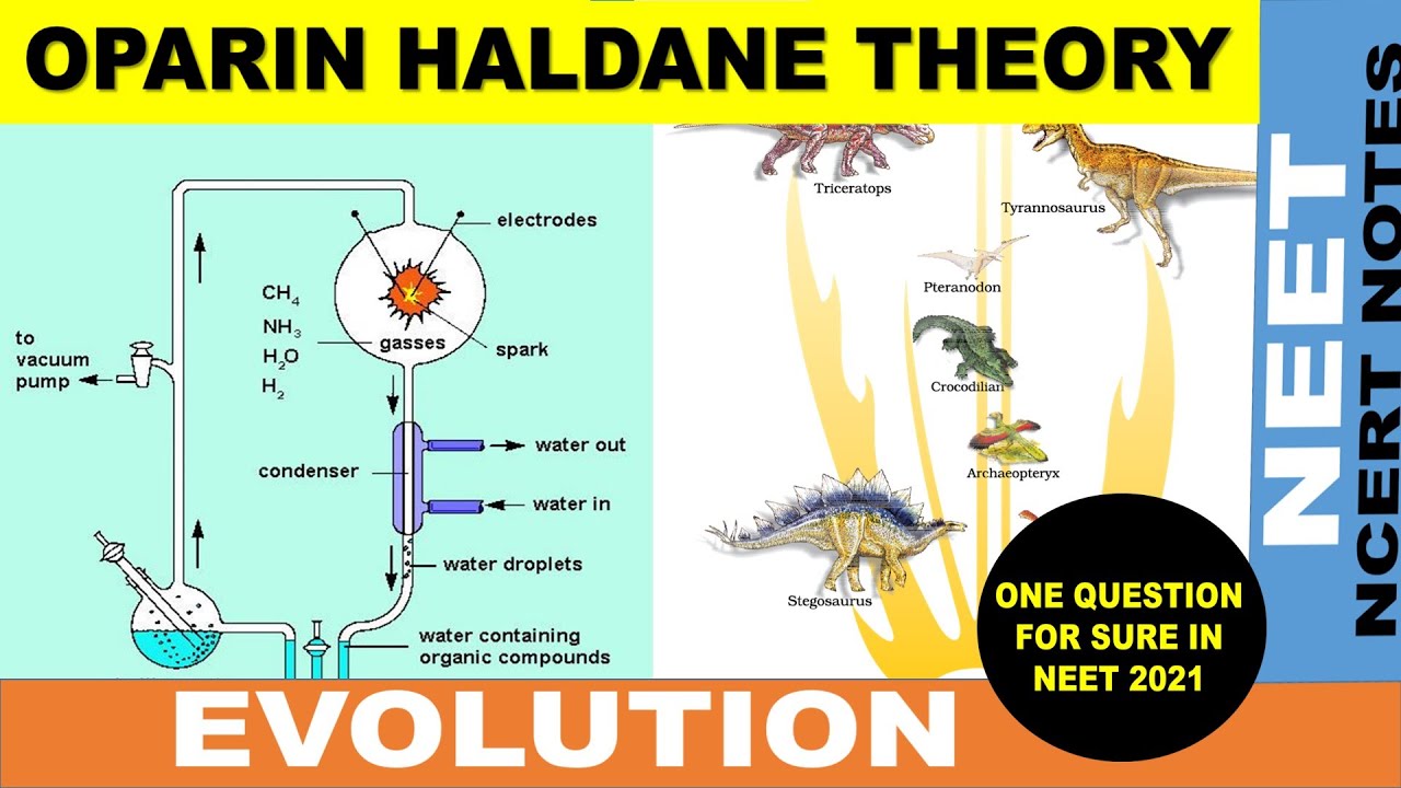 Oparin - Haldane Theory Ncert explained | Chemical Evolution ...