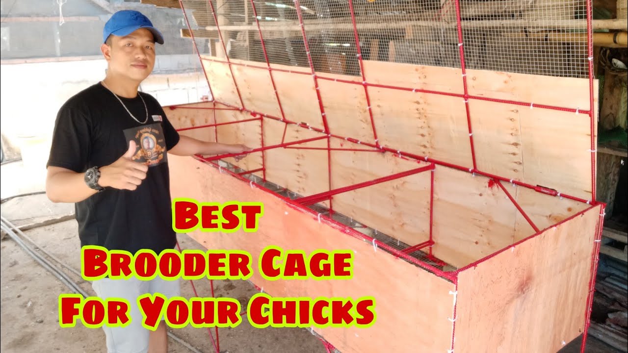 PAANO GUMAWA NG STEEL BROODER CAGE NG SISIW | BROODER CAGE DESIGN FOR ...