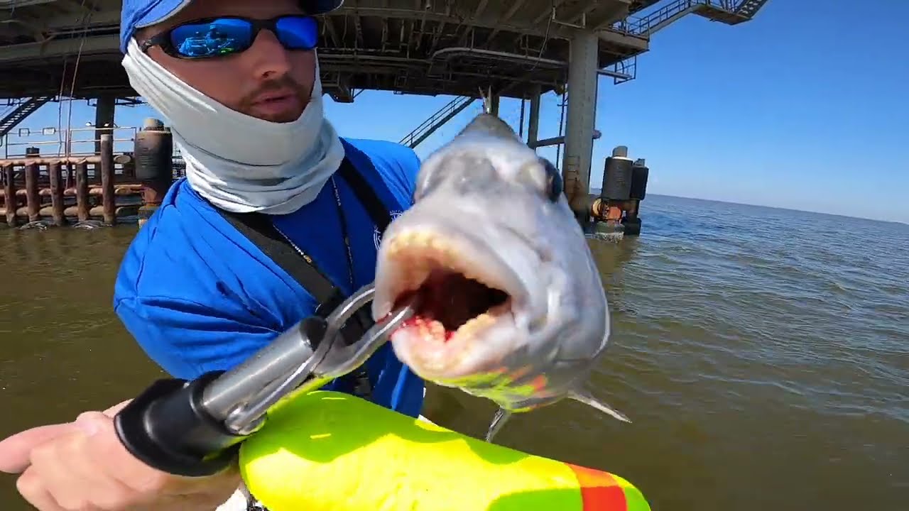 These RIGS are LOADED with Fish **Catch and Cook** - YouTube