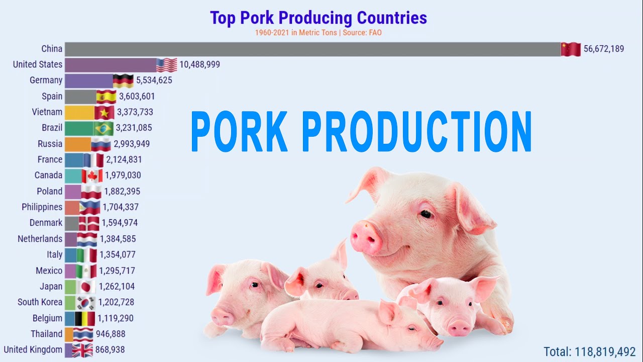 Pork Production By Country - YouTube