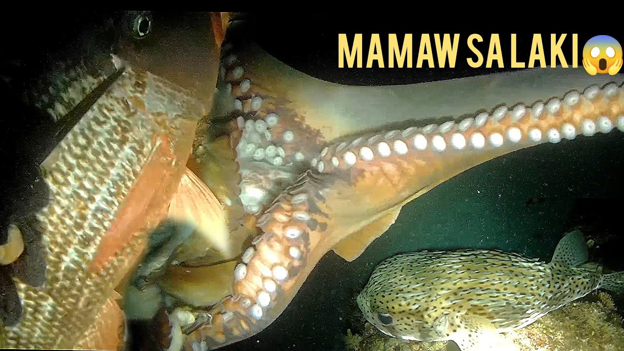 EP:52|PAMAMANA SA GABI |jackpot Buffalo Emperor unlock |KATUHOG ...