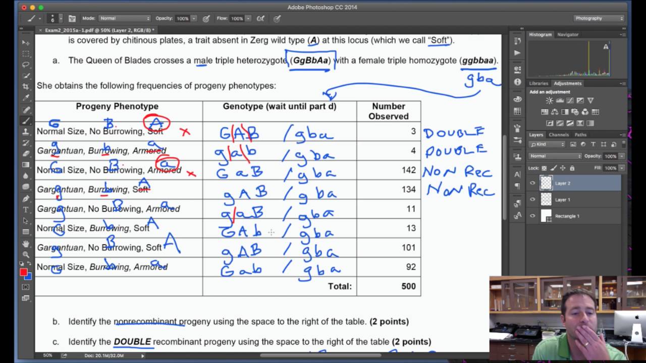 Three Point Cross - Mapping genes in the Zerg! - YouTube