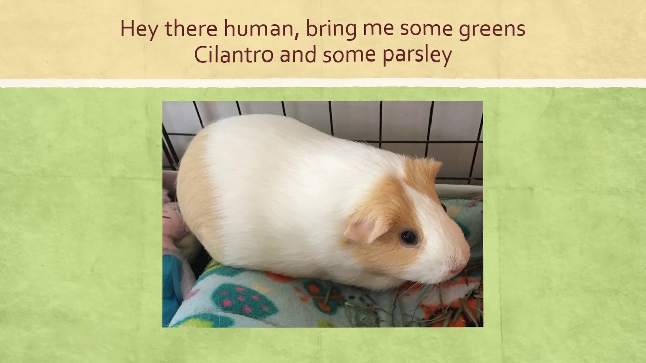 Hey There Human - YouTube