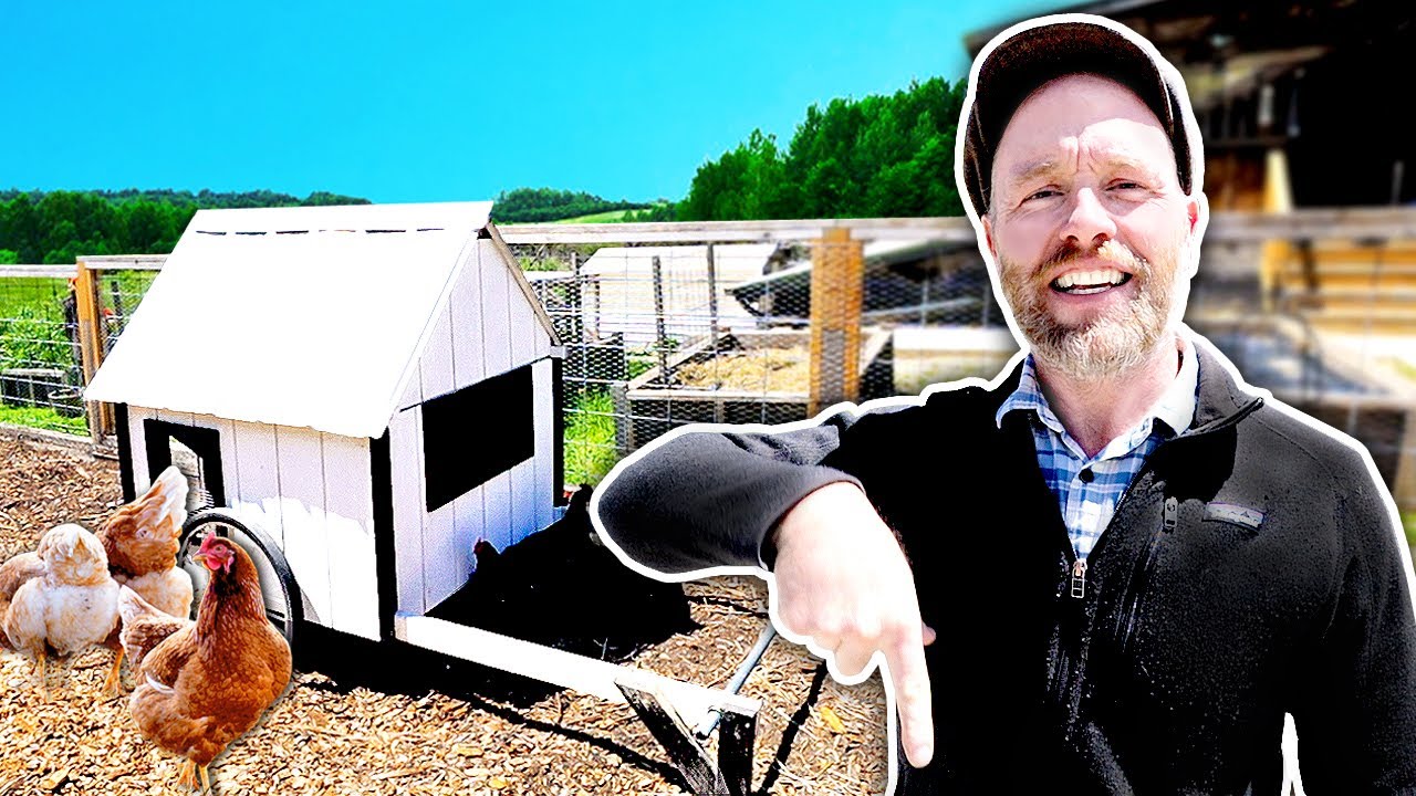 Finally a Chicken Run NO ONE Can ESCAPE - YouTube