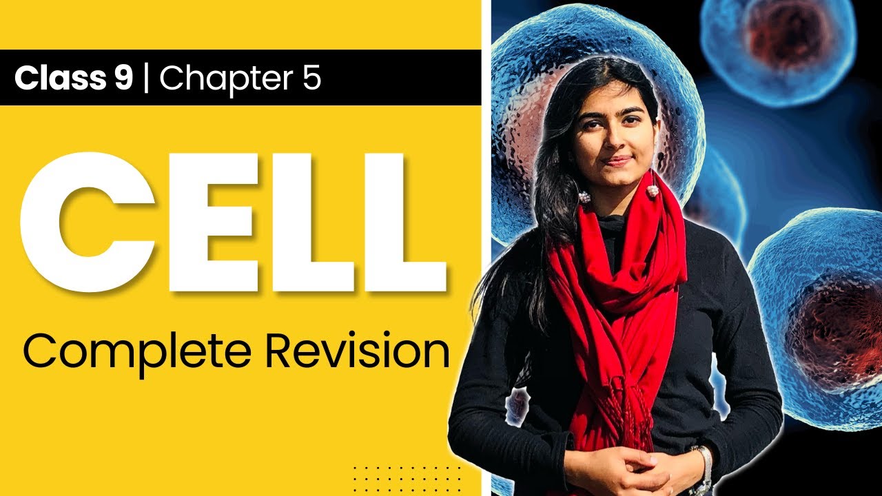 Cell | Fundamental Unit of Life | CBSE Class 9 Biology - YouTube