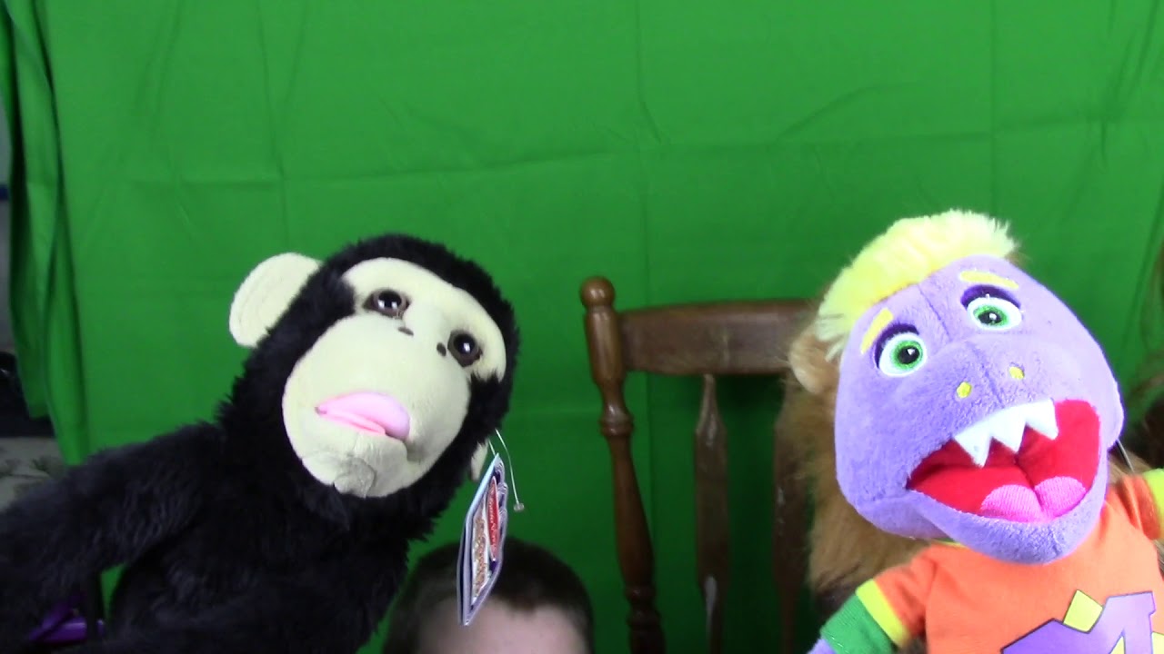 Nathan & Phoebe Show #6: Reveals the Monkey and Lion Show - YouTube