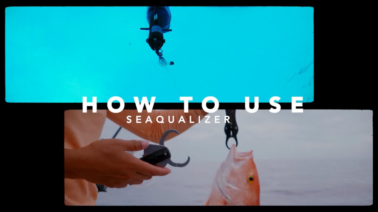 Return 'Em Right: How to Use a SeaQualizer Descending Device - YouTube