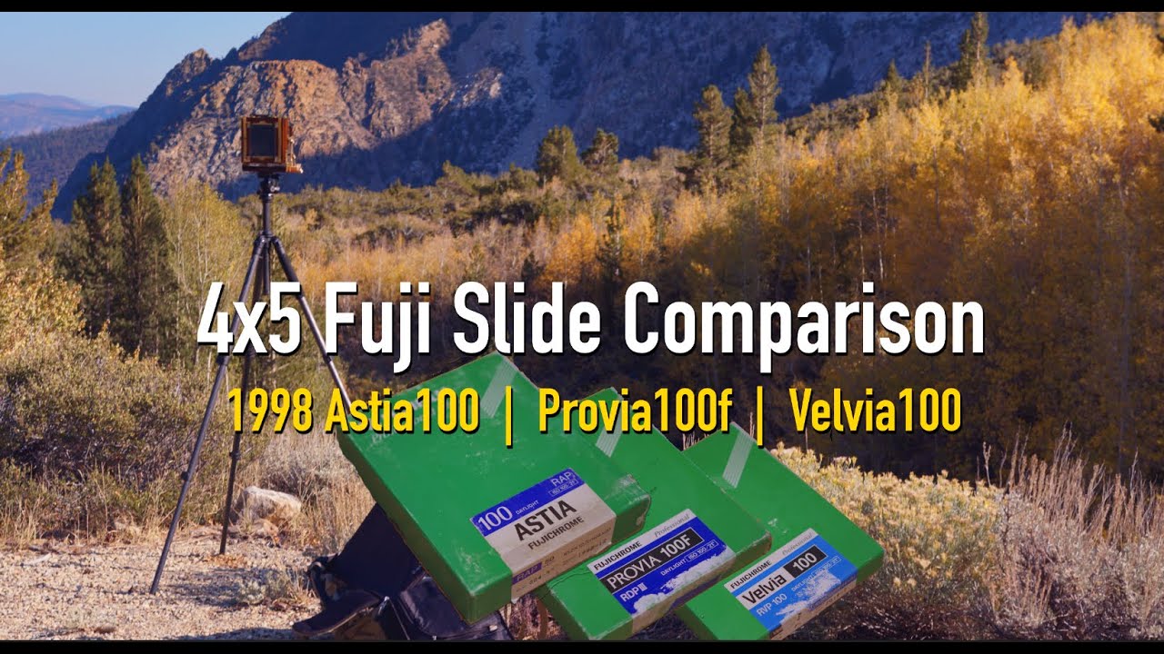 Provia 100f 4x5