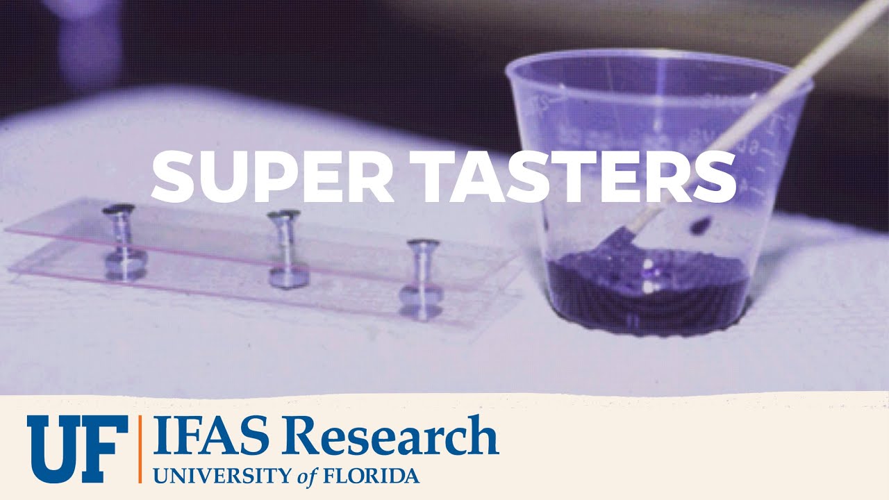 UF/IFAS Research | Super Tasters - YouTube