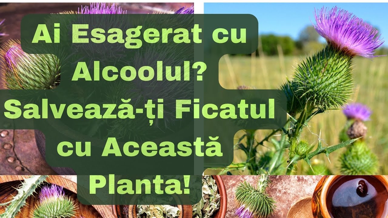 Plante Medicinale ,Detoxifiere,Remedii Naturale,Tratamente Naturiste ...