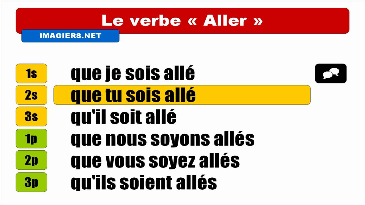 Audio + Video conjugation = Aller = Subjonctif Passé - YouTube