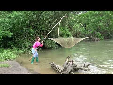 Fishing Alone on Rivers, Traditional Net Fishing Using Good Bait, Catch a Lots Of Big Fish