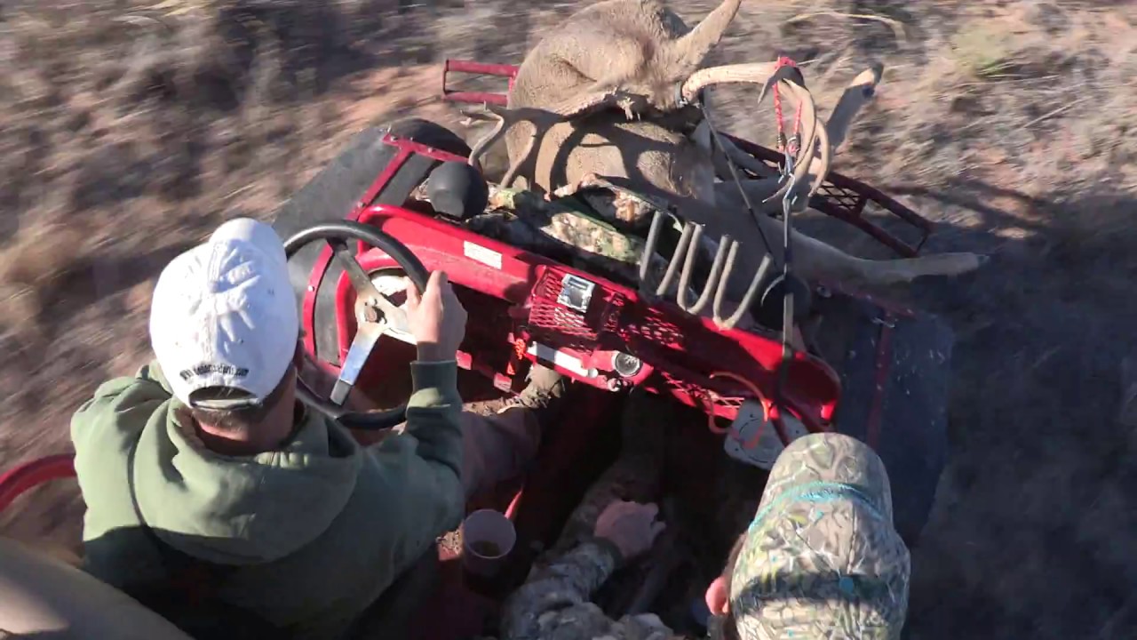 E3 "Mule Deer Minute" 200 inch Texas mule deer - YouTube