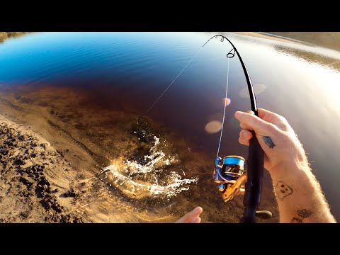 Monster im Flachwasser