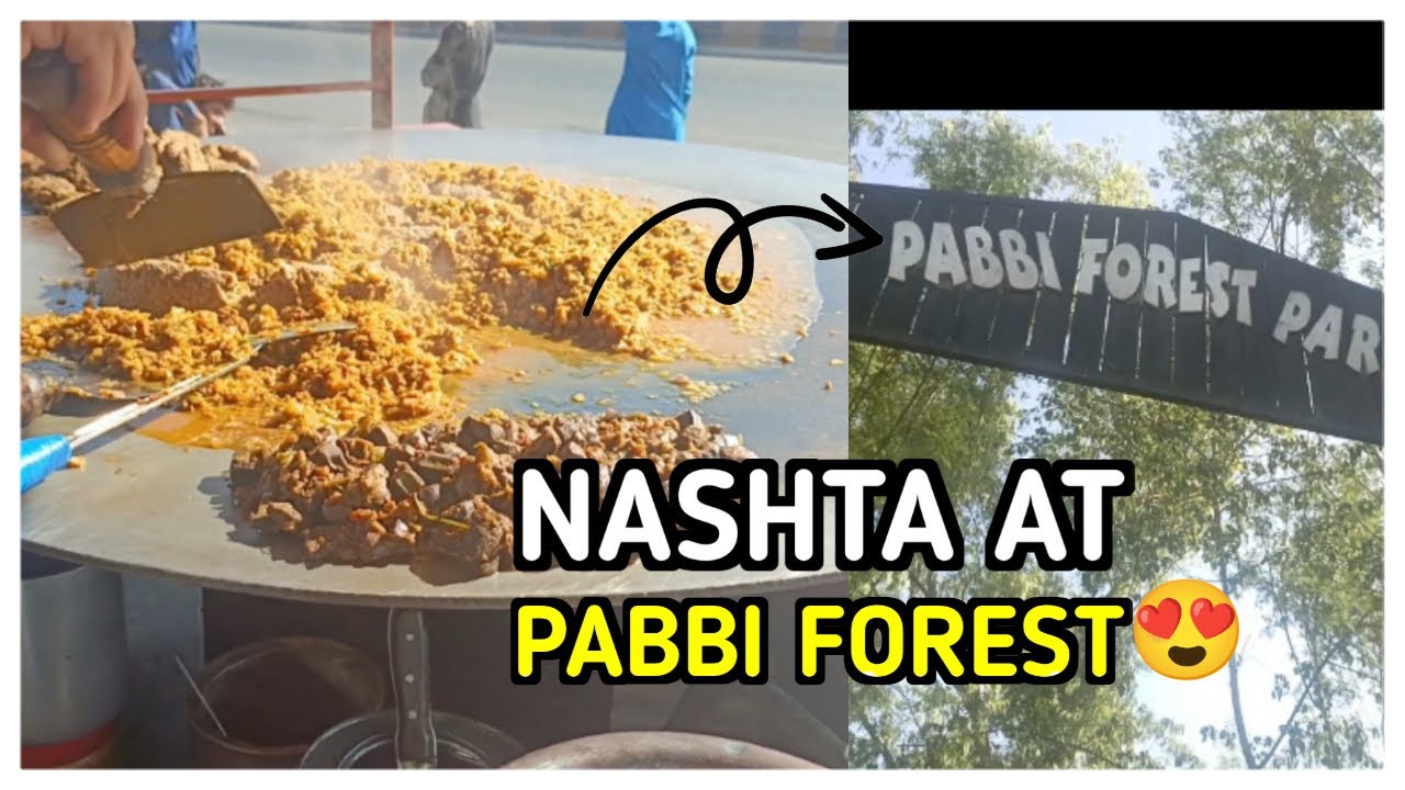 Breakfast at pabbi forest🌲 part 1 #carryminati #experiment #funny # ...