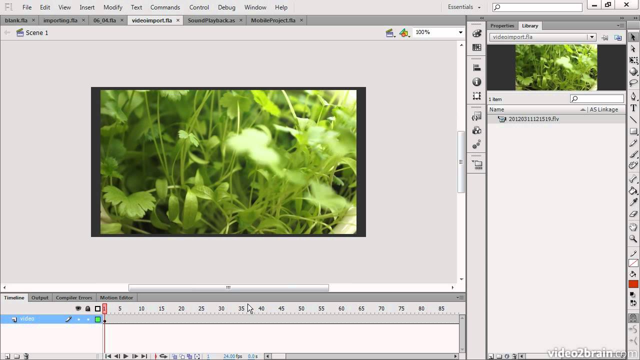 Adobe Flash CS6: What is the Course About 02 Learn ByVideo - YouTube