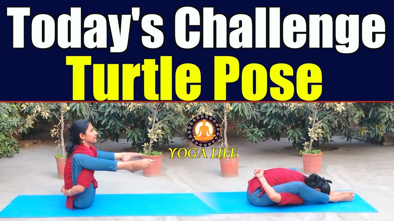 Today's Fitness Challenge: Some Variations of Turtle Pose || Ujala ...
