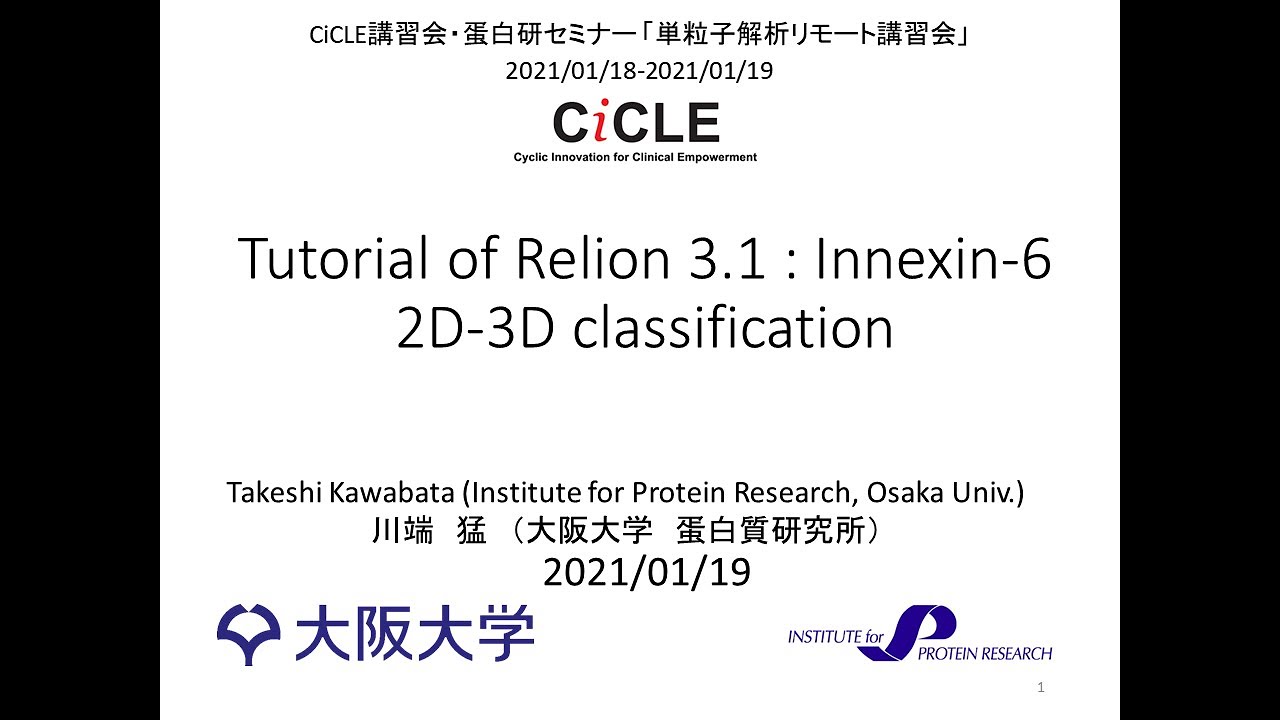 Tutorial of Relion 3.1: Innexin-6 ; 2D-3D classification : Innexin-6を題材 ...