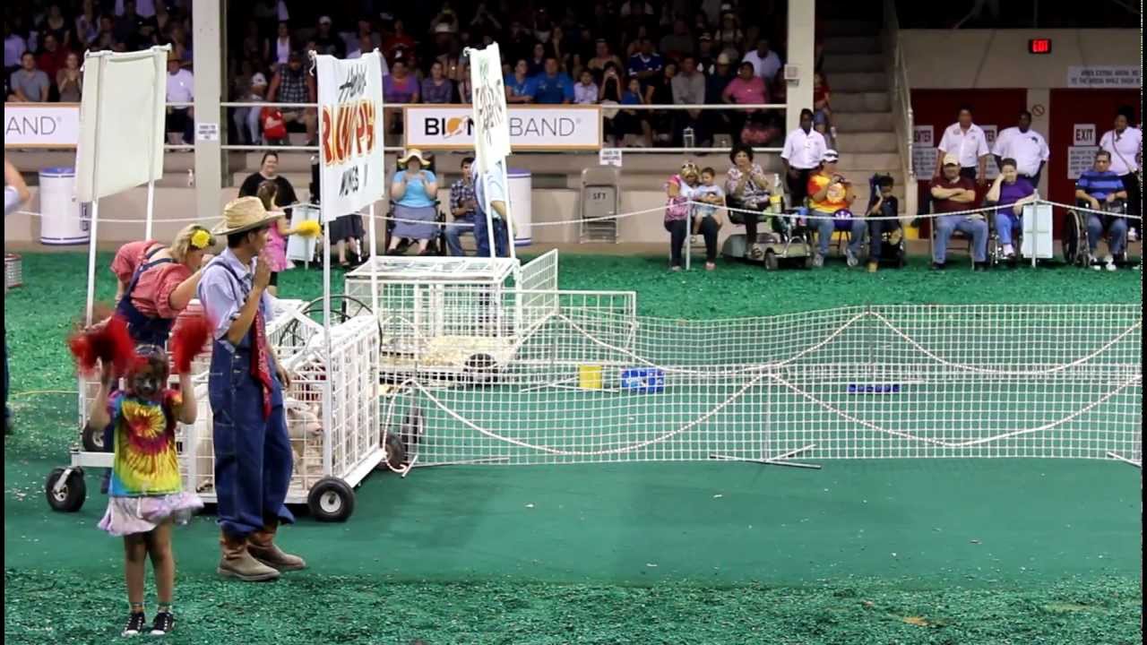 Texas State Fair Pig Race - YouTube